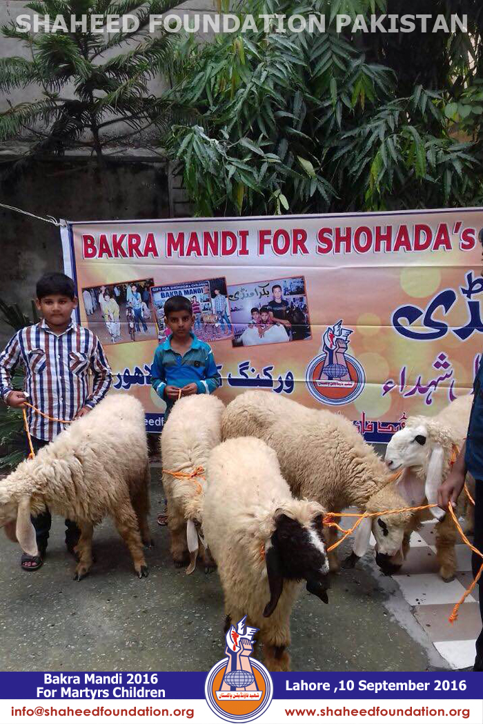 Bakra Mandi 2016 for Martyrs Children (Lahore) - SFP News